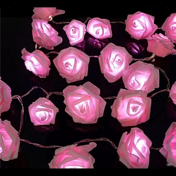 Accents | Pink Aesthetic Rose String Lights | Poshmark